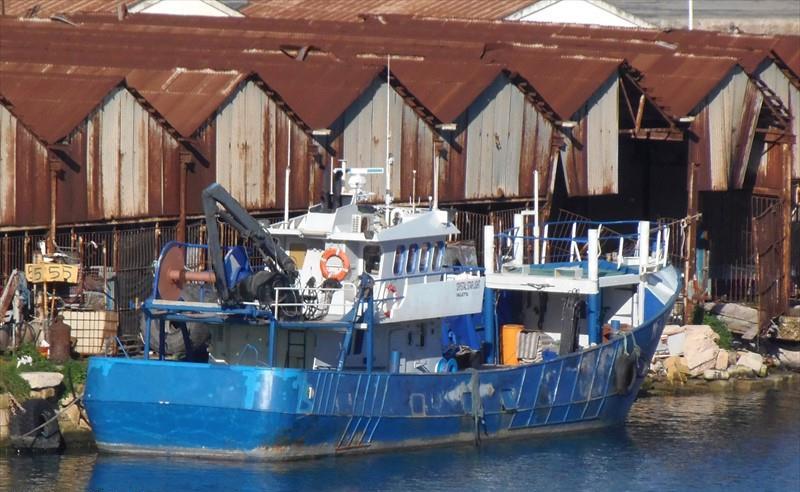 CRYTAL STARLIGHT - Vesseljoin