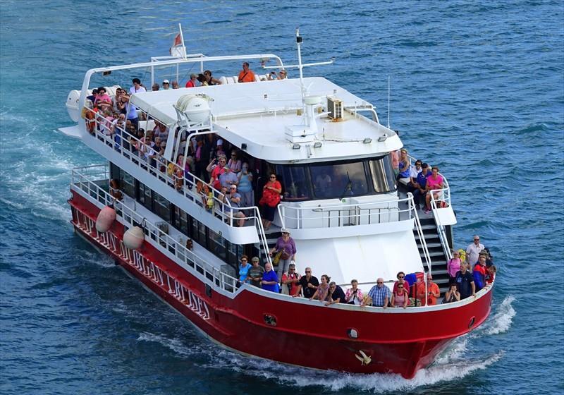 FERNANDES - Vesseljoin