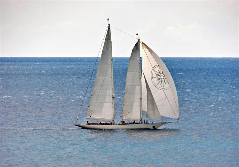 WINDROSE OF AMSTERDAM - Vesseljoin