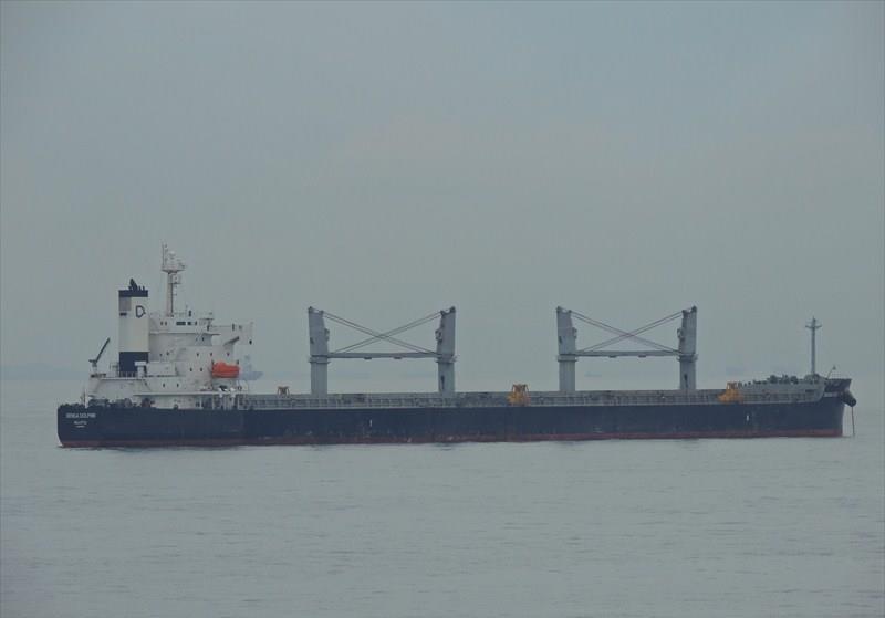 DENSA DOLPHIN - Vesseljoin