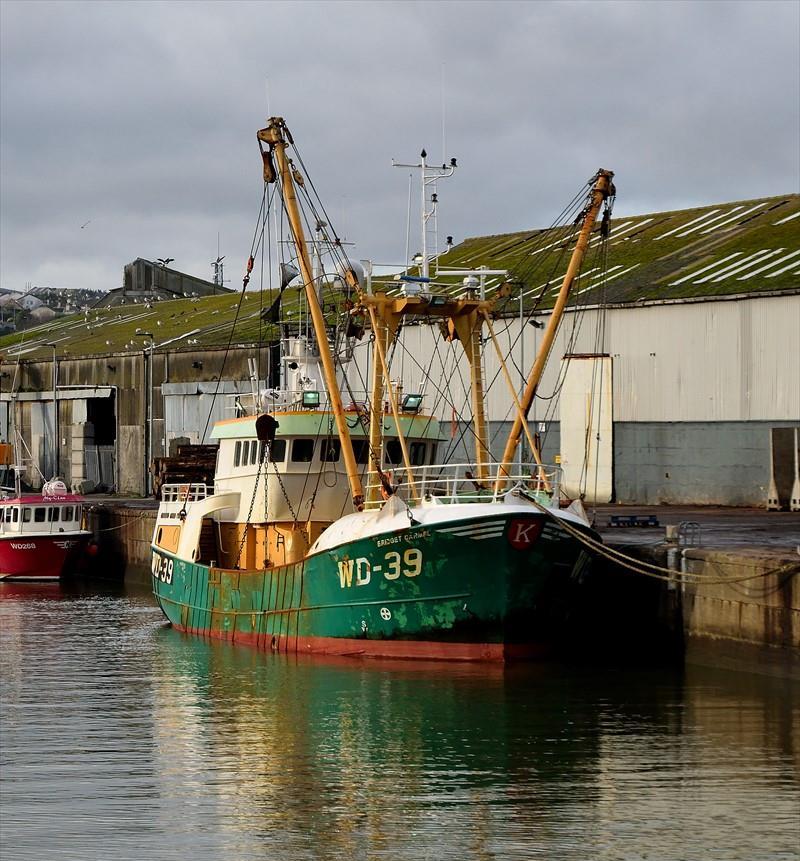 BRIDGET CARMEL - Vesseljoin