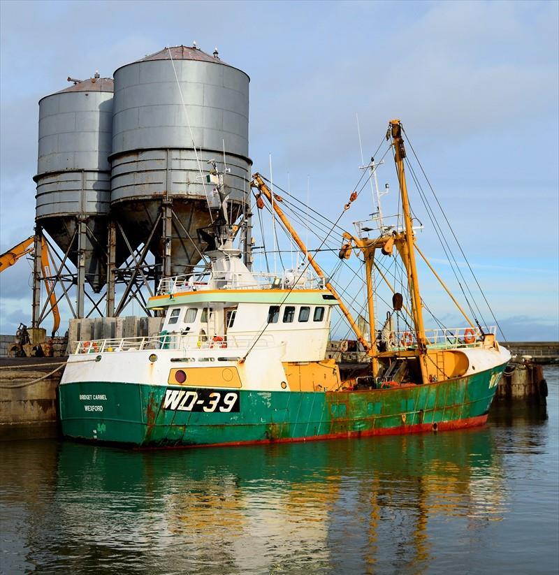 BRIDGET CARMEL - Vesseljoin