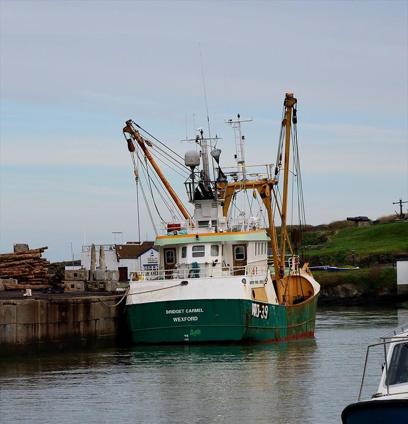 BRIDGET CARMEL - Vesseljoin