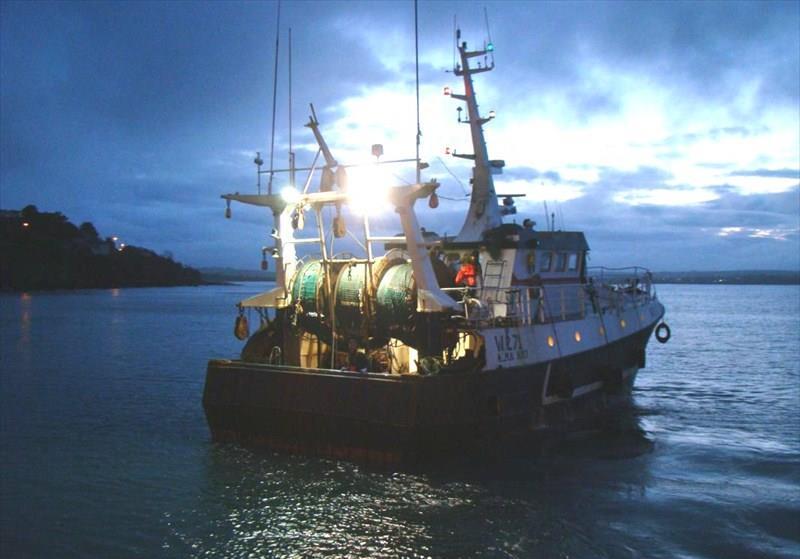 ALMA AMY - Vesseljoin