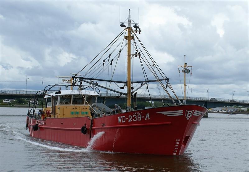 CECILIA WD239A - Vesseljoin