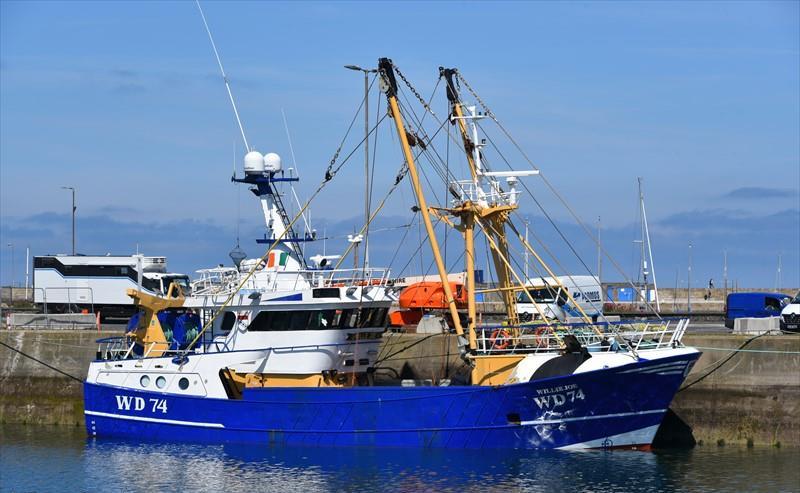 WILLIE JOE - Vesseljoin