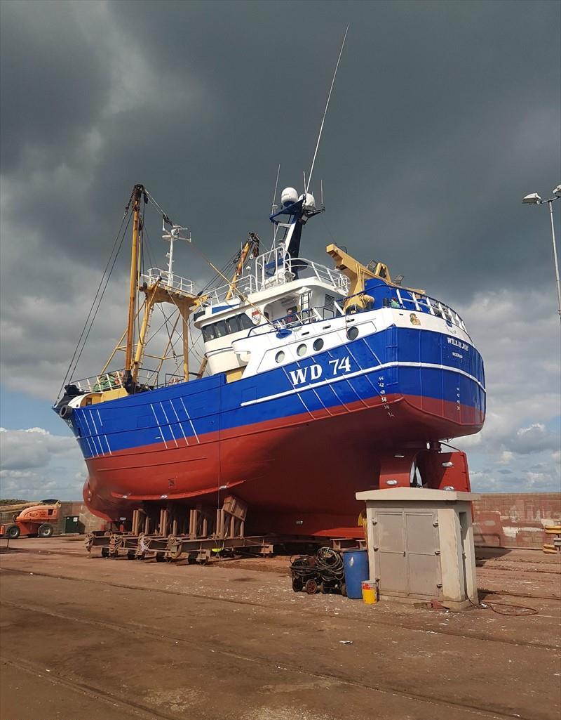 WILLIE JOE - Vesseljoin