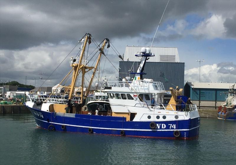 WILLIE JOE - Vesseljoin