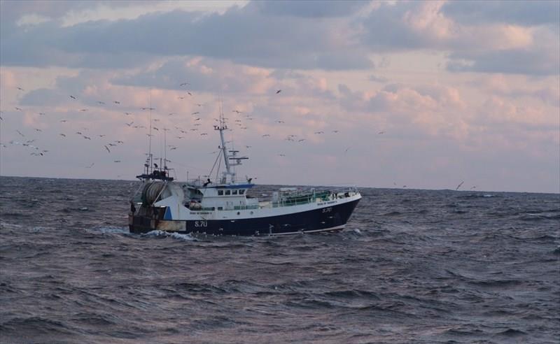 ROSE OF SHARON II - Vesseljoin