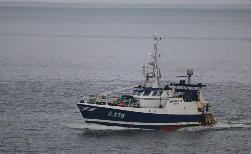 PRIMROSE - Vesseljoin