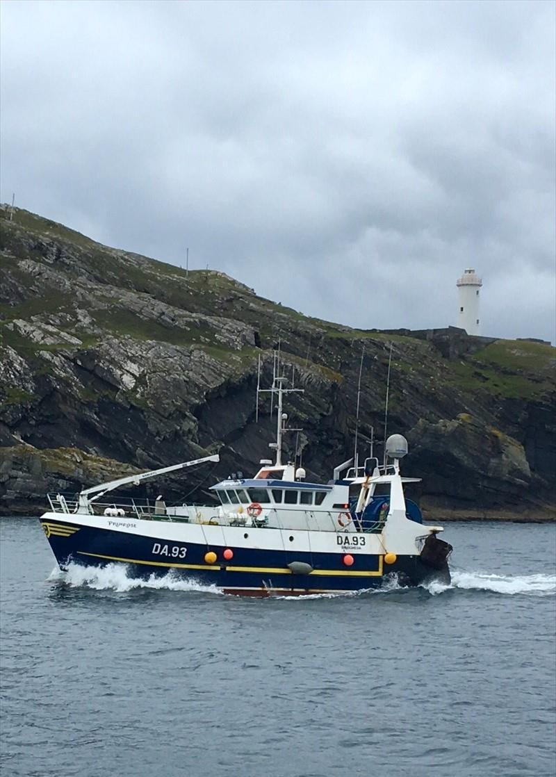 PRIMROSE - Vesseljoin