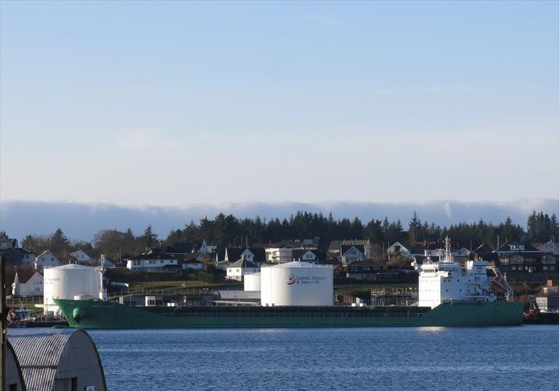 ARKLOW MANOR - Vesseljoin