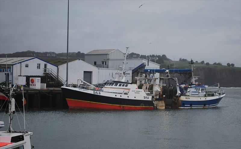 CELTIC WARRIOR II - Vesseljoin