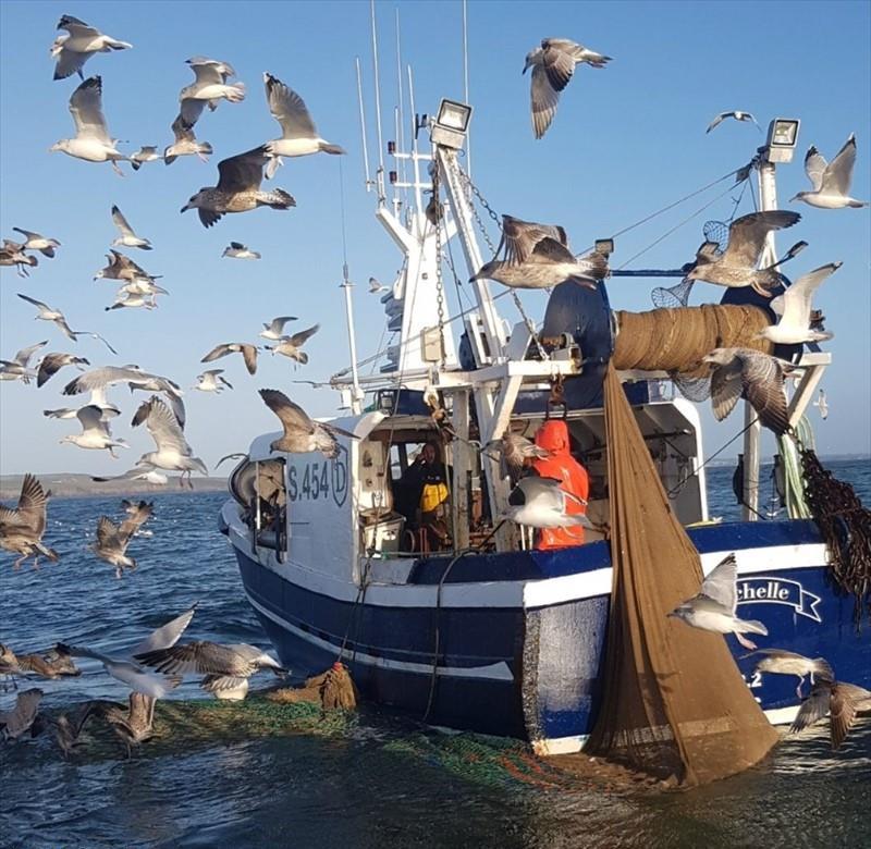 MICHELLE - Vesseljoin