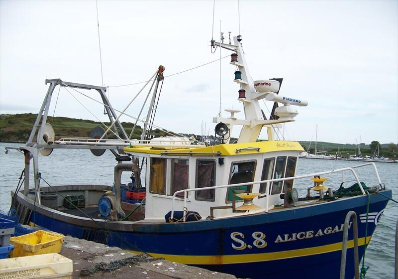 ALICE AGAIN - Vesseljoin