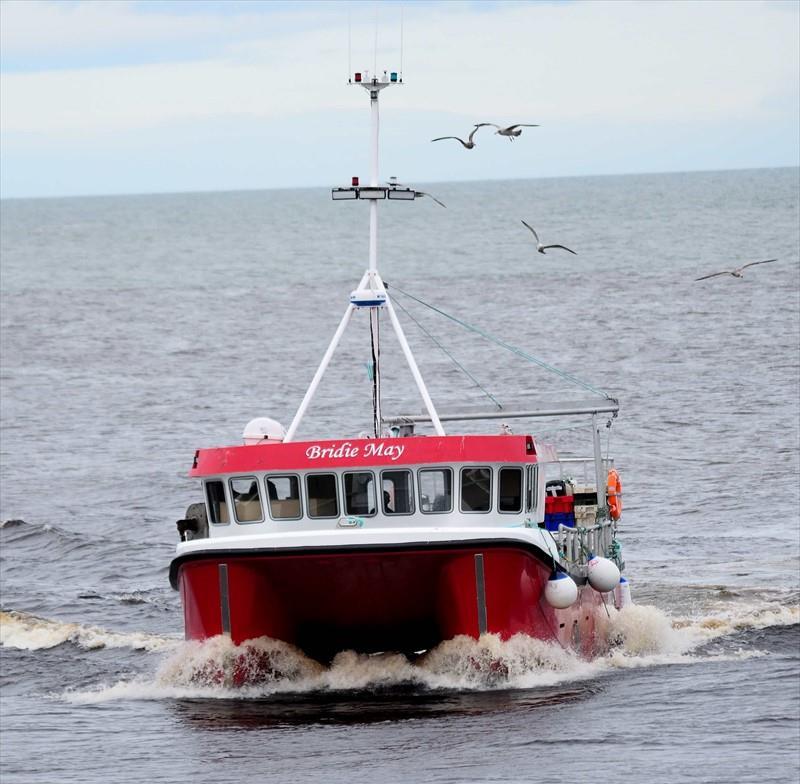 BRIDIE MAY - Vesseljoin