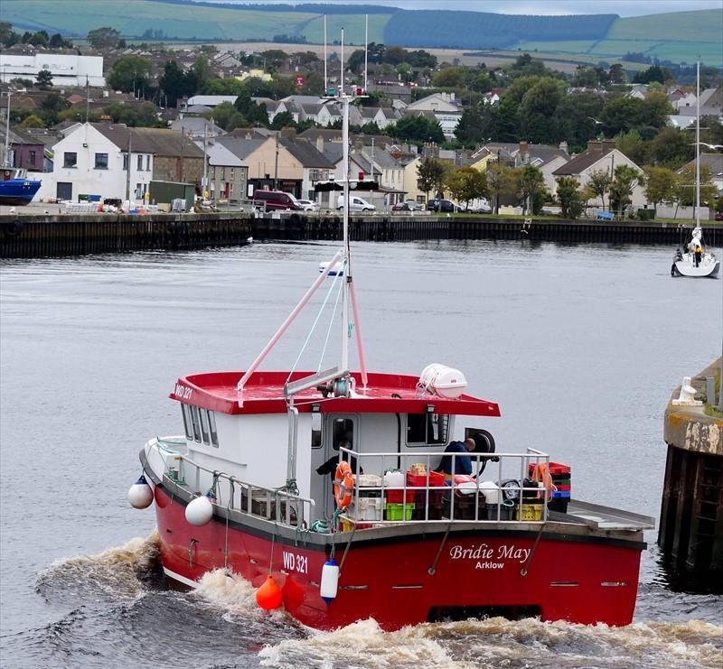 BRIDIE MAY - Vesseljoin