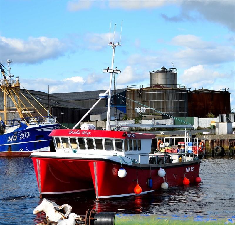 BRIDIE MAY - Vesseljoin