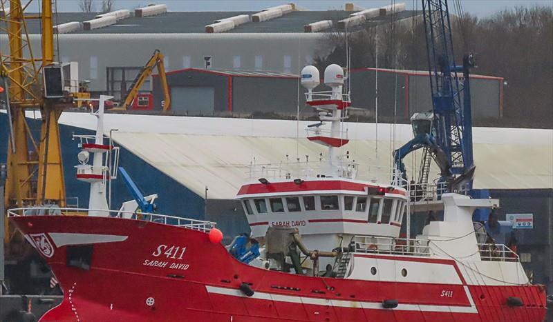 SARAH DAVID - Vesseljoin