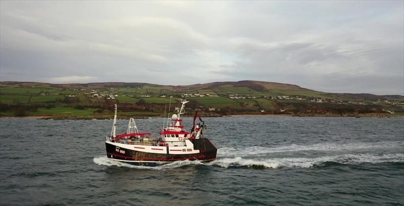 GREEN ISLE - Vesseljoin