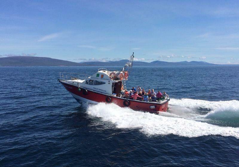 TRUE LIGHT - Vesseljoin