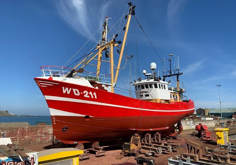 WILLIE B - Vesseljoin