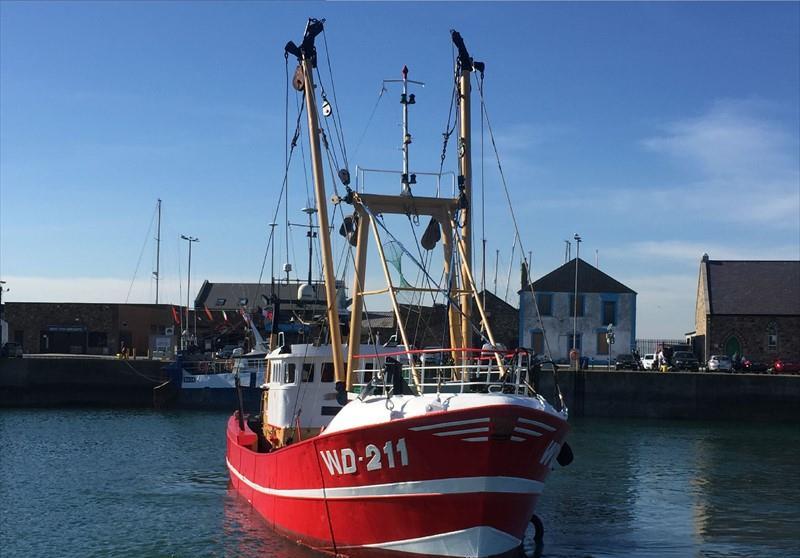 WILLIE B - Vesseljoin