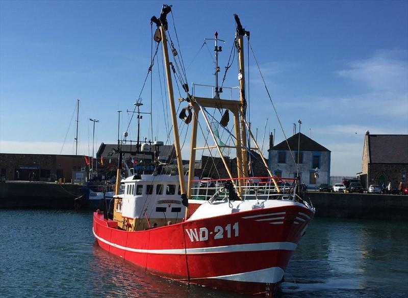 WILLIE B - Vesseljoin