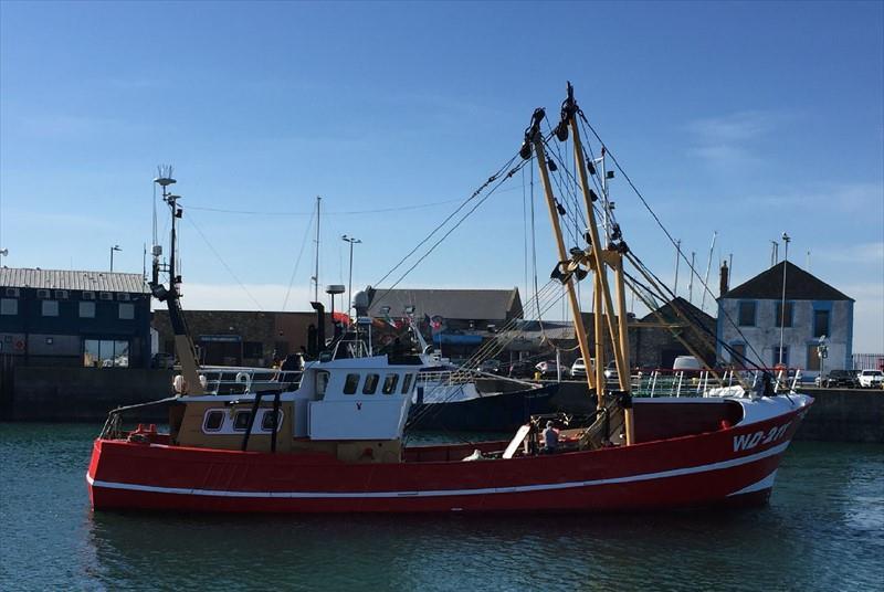 WILLIE B - Vesseljoin