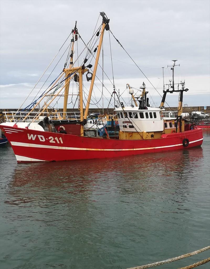 WILLIE B - Vesseljoin