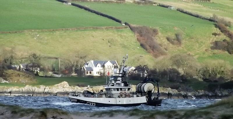 BUDDY M - Vesseljoin