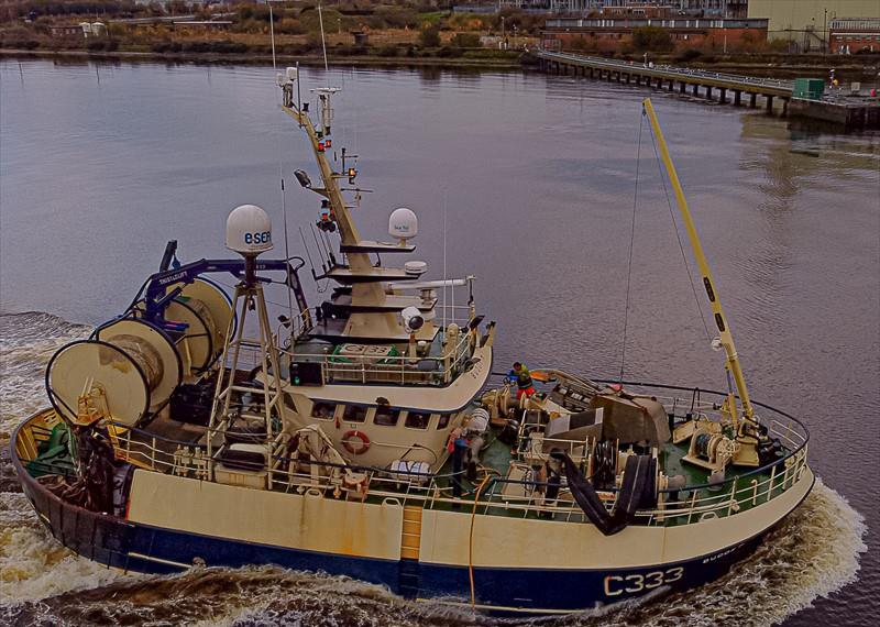 BUDDY M - Vesseljoin