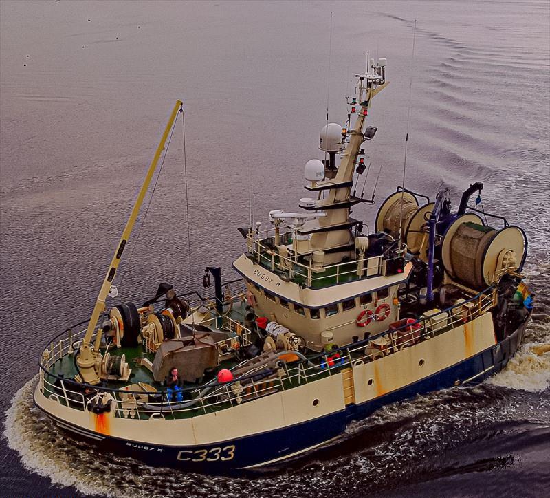 BUDDY M - Vesseljoin