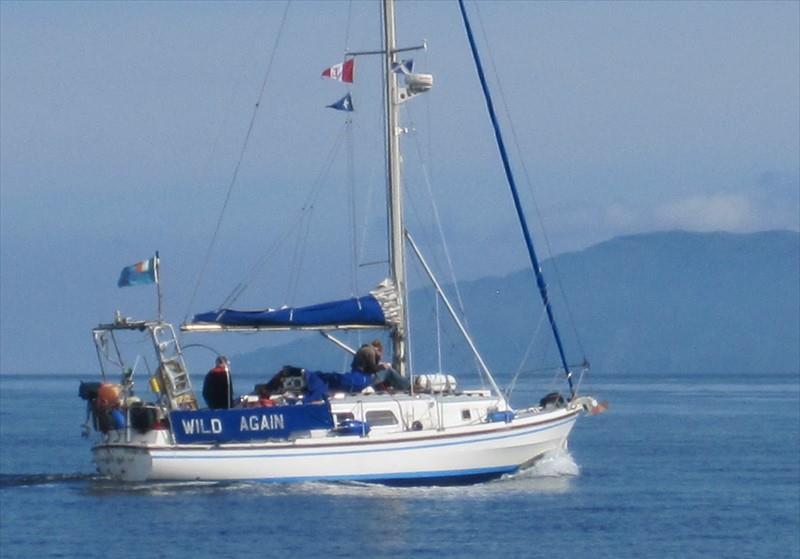 WILD AGAIN - Vesseljoin