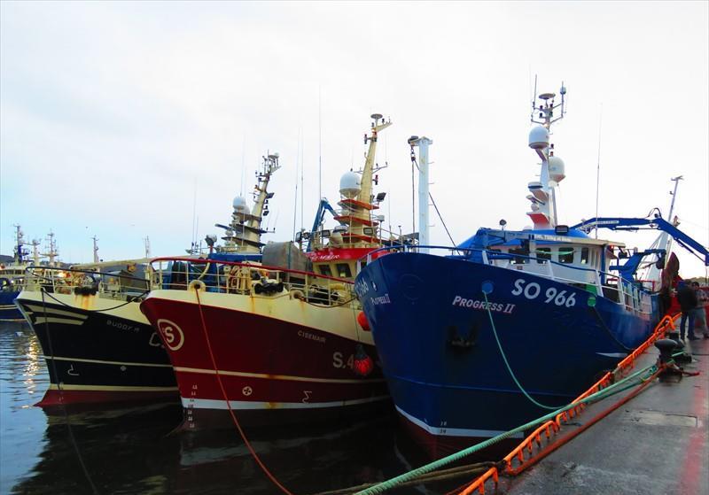 PROGRESS II - Vesseljoin