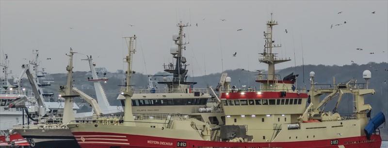 WESTERN ENDEAVOUR - Vesseljoin