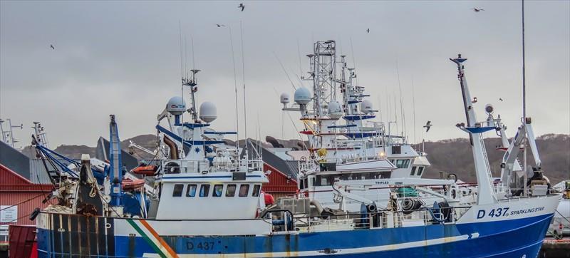 SPARKLING STAR - Vesseljoin