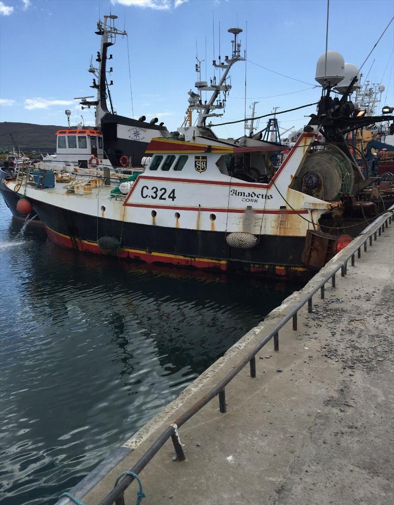 RACHEL JAY - Vesseljoin