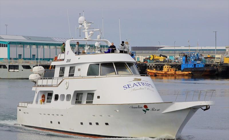 AMELIA ROSE - Vesseljoin