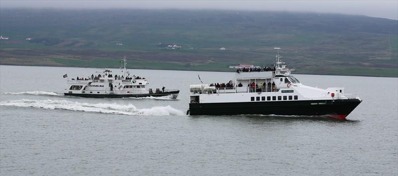 ARCTIC CIRCLE - Vesseljoin