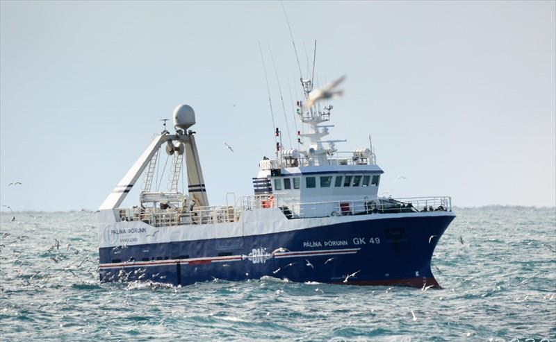 PALINA THORUNN - Vesseljoin