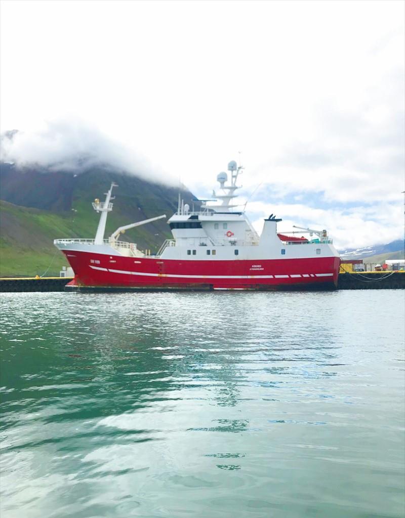 THORSNES - Vesseljoin