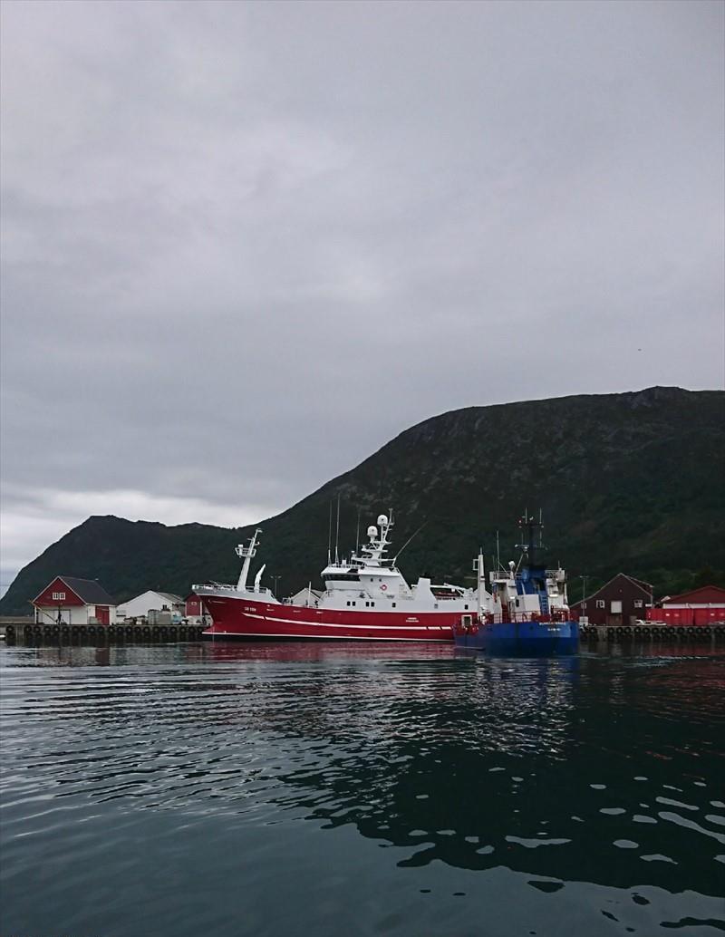 THORSNES - Vesseljoin