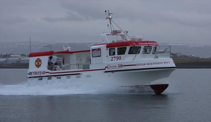 EINAR HALFDANS - Vesseljoin