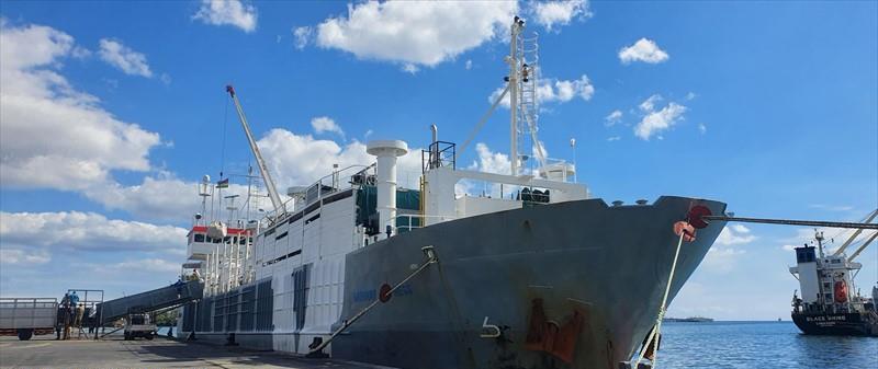 MURRAY EXPRESS - Vesseljoin