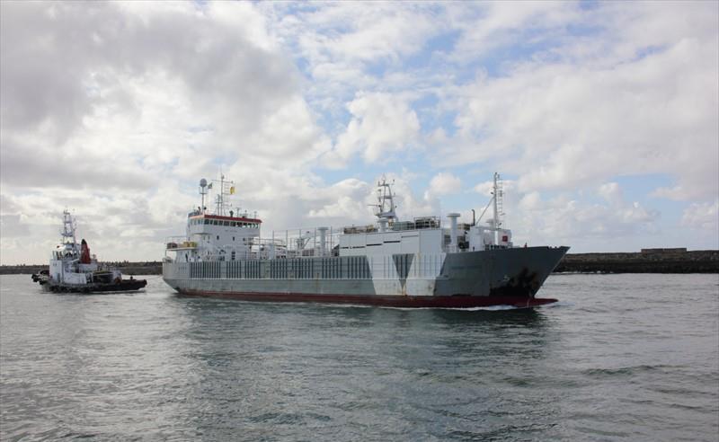 MURRAY EXPRESS - Vesseljoin