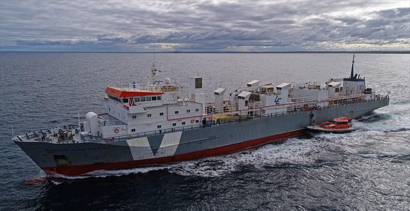 BISON EXPRESS - Vesseljoin