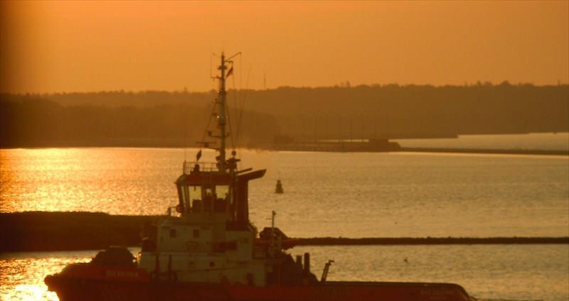 RED DOLPHIN - Vesseljoin