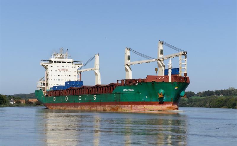 AFRICAN FOREST - Vesseljoin