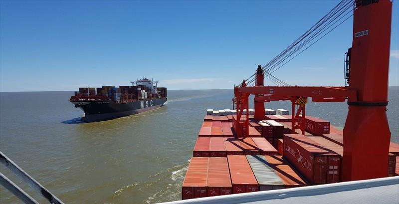 MSC GIULIA - Vesseljoin